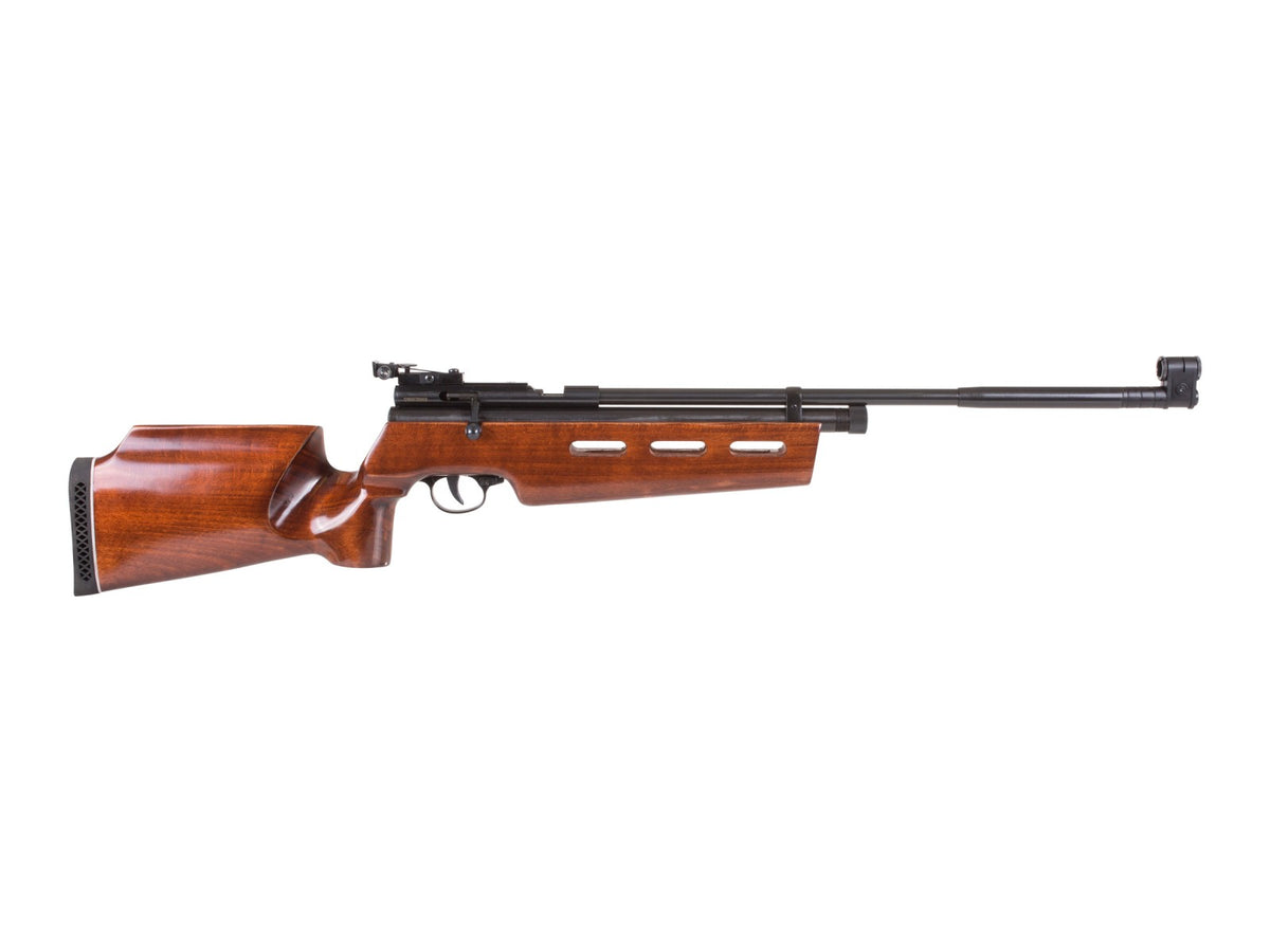 Beeman AR2078A CO2 Target Rifle - Caliber 0.22 - FPS 450 – Airsenal